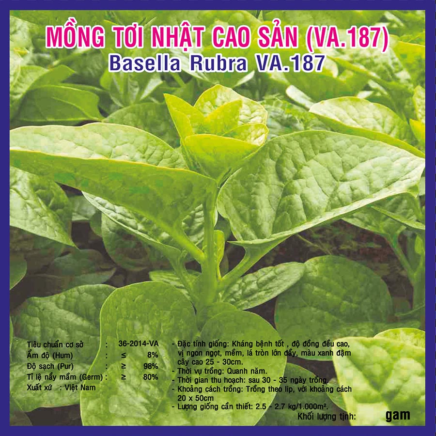Hạt giống Mùng Tơi Nhật Cao Sản (VA.187) – 20gram | | Hạt Giống Tốt ...