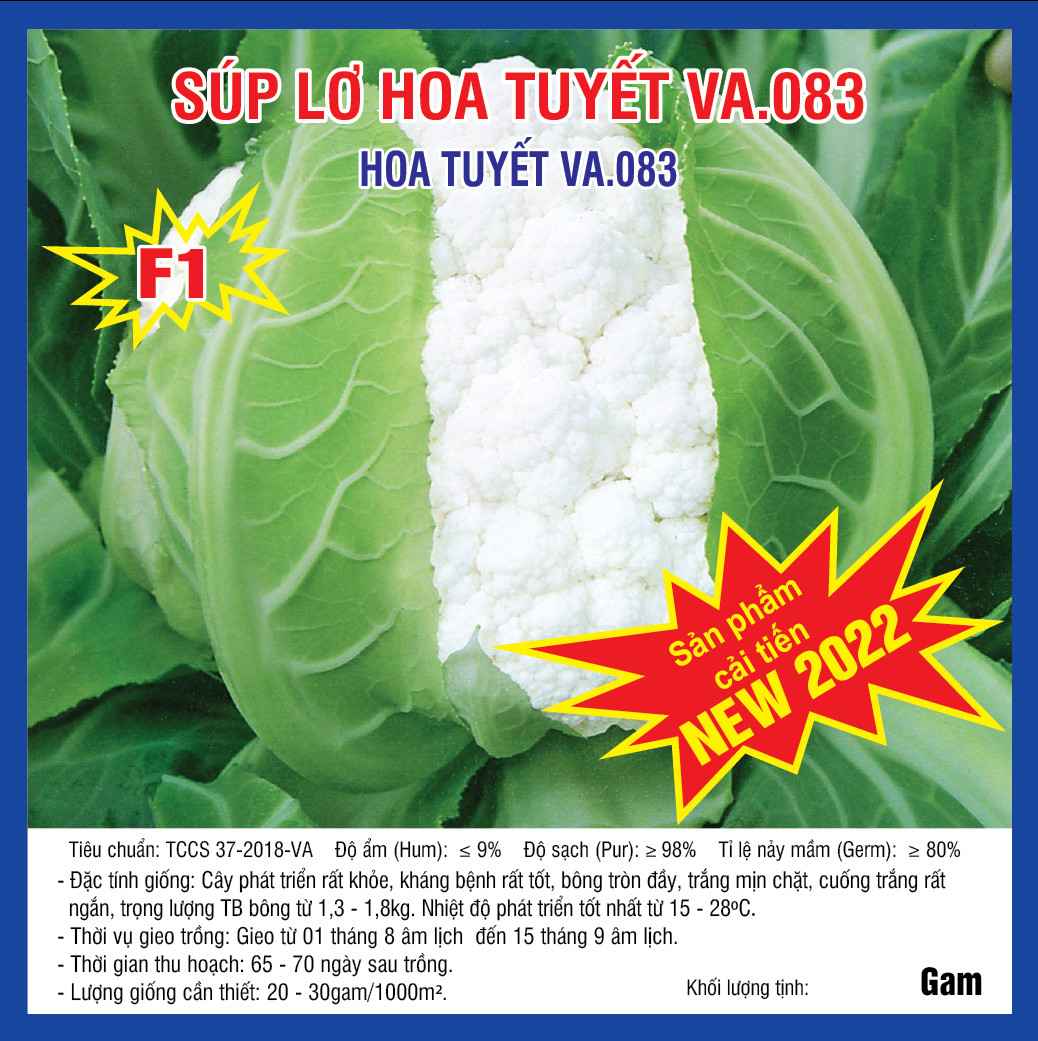 Hạt giống Súp Lơ Hoa Tuyết (VA.083) – 100 Hạt | | Hạt Giống Tốt Đông Bẩy